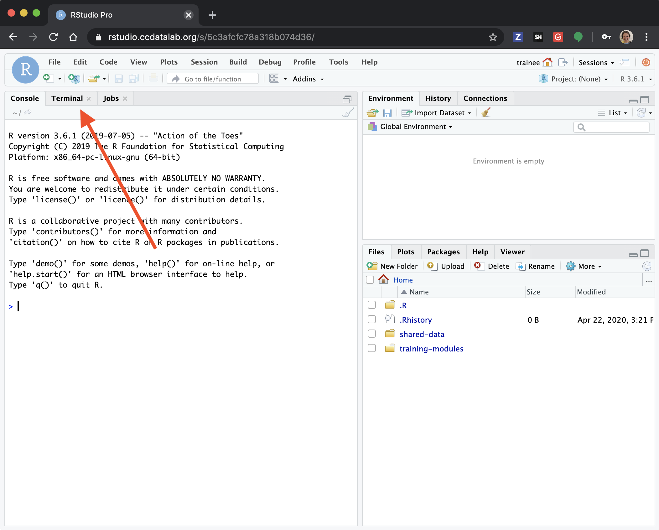 RStudio Server Set Up CCDL Training
